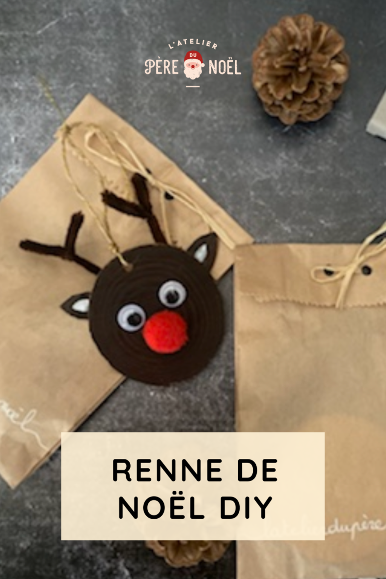 DIY renne de Noël